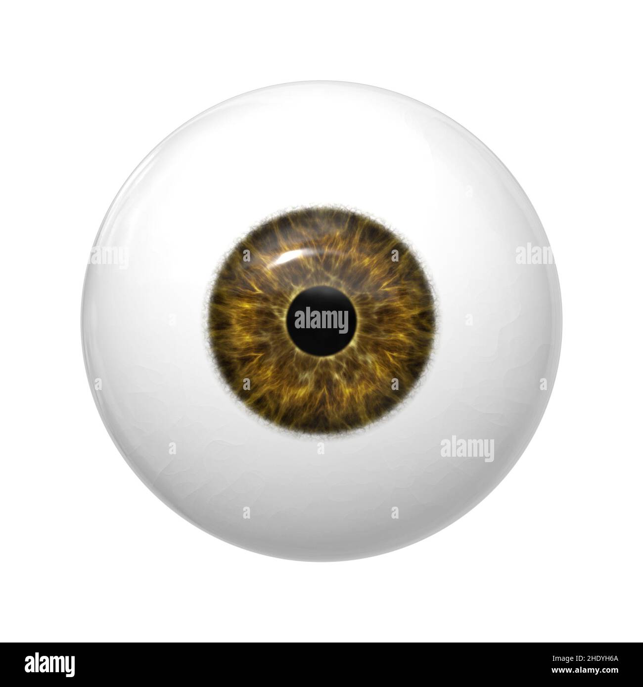 Eyesights hi-res stock photography and images - Alamy