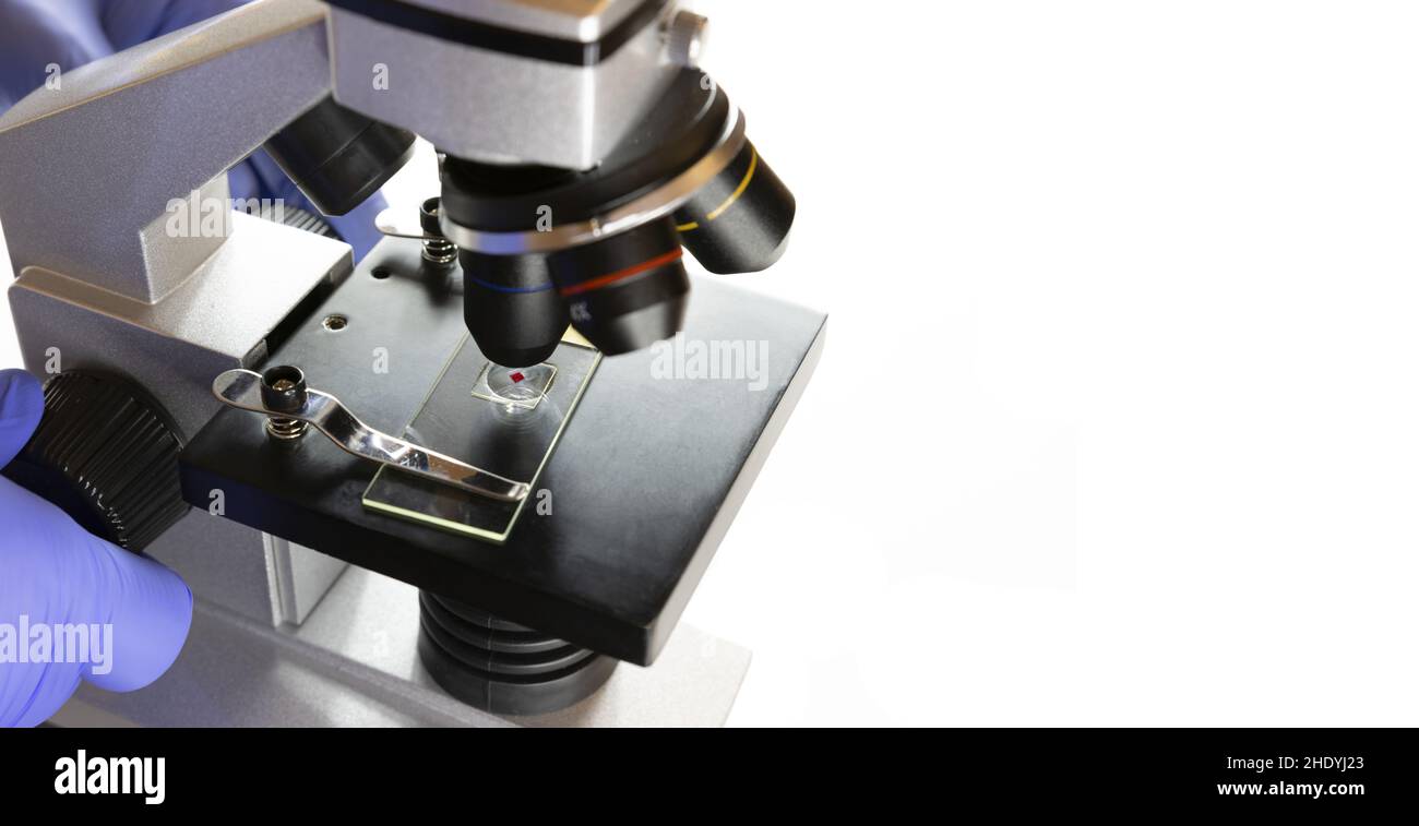 Using a microscope for biotechnology medical research on white ...