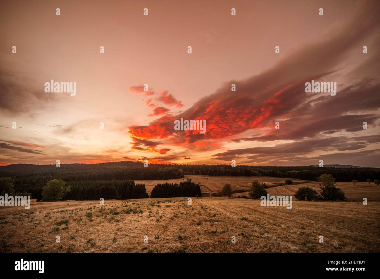 fields, dawn, field, dawns Stock Photo - Alamy
