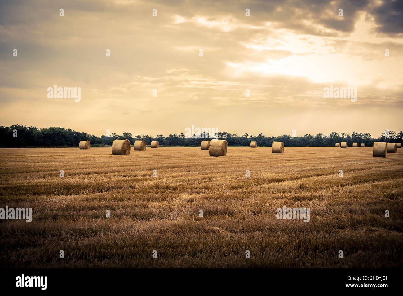 round bales, round bale Stock Photo - Alamy