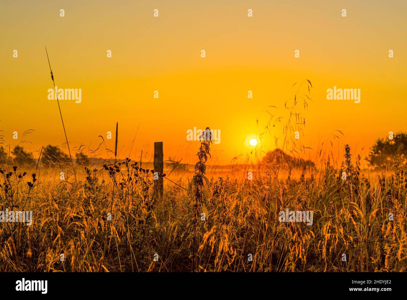 sunset, meadow, sunsets, meadows Stock Photo - Alamy