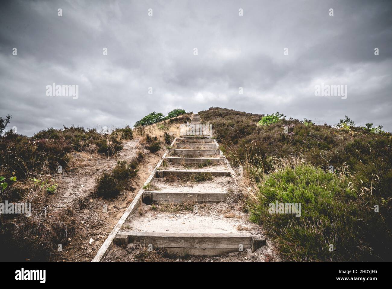 trail, up, trails Stock Photo - Alamy