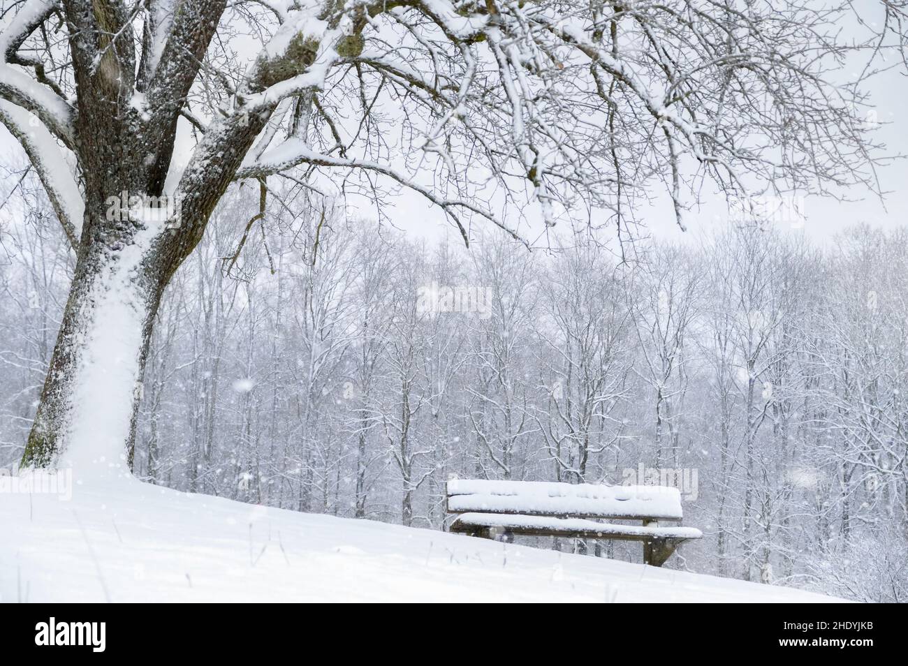 winter, snowy, bench, winters, snowies, benchs Stock Photo - Alamy