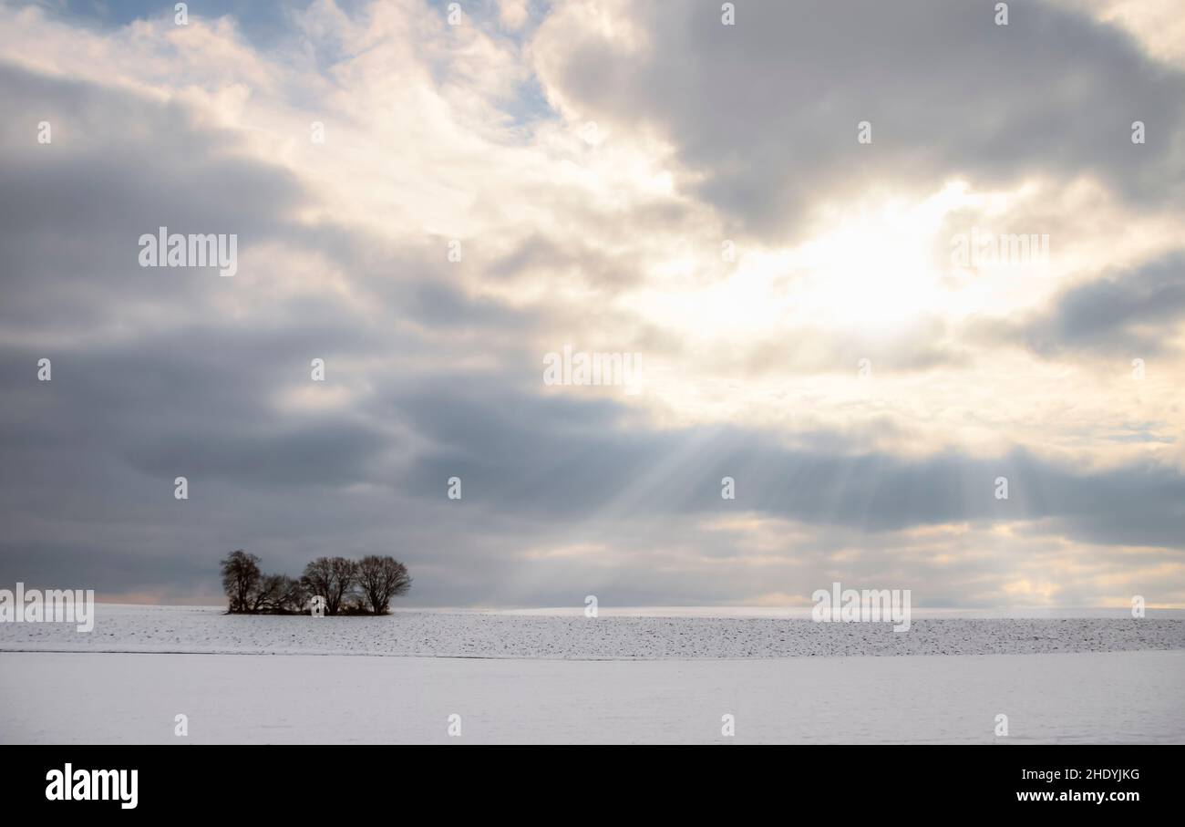 winter, sunbeams, winter sun, winters, sun beams, sun ray, sun rays ...