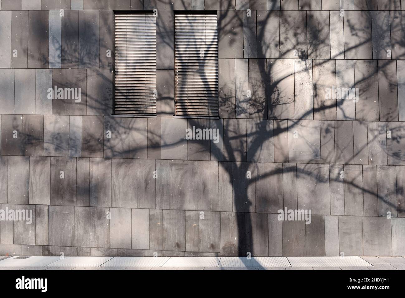 tree shadow, city development, urbanisation, tree shadows, city ...