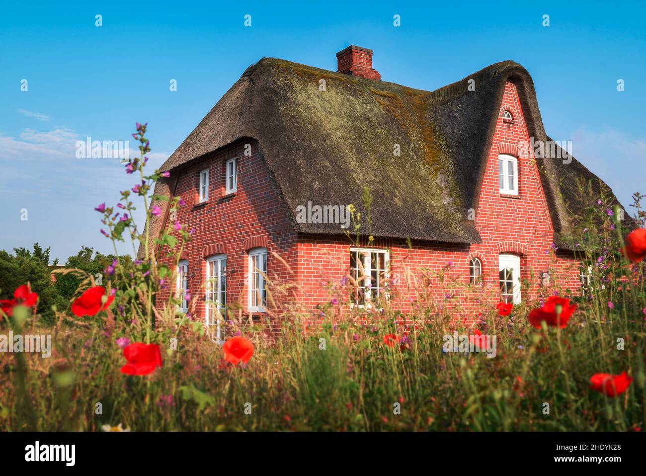 thatched-roof house, brick house, thatched-roof houses, brick houses ...