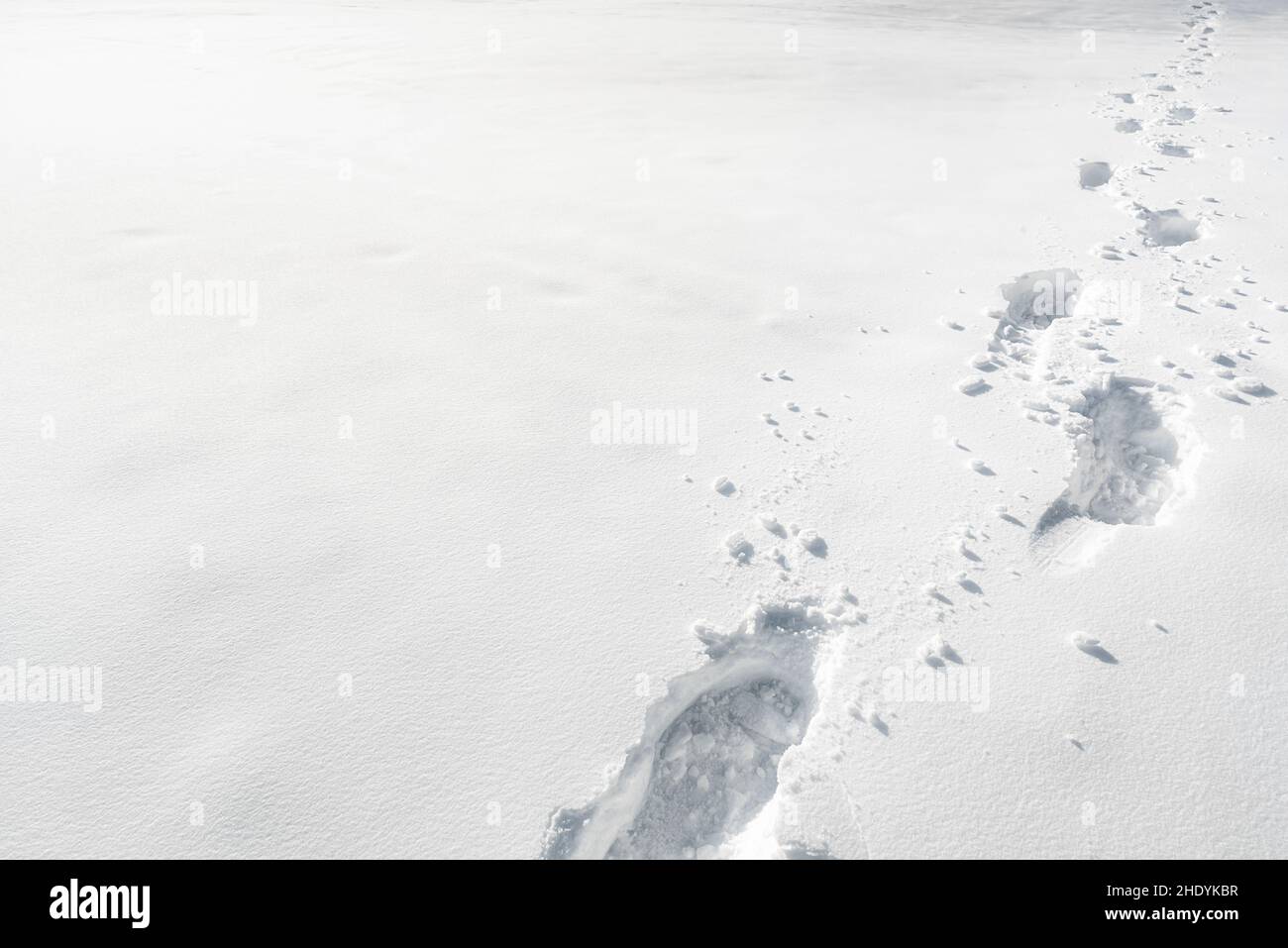 winter, snow, footprints, winters, snowy, footprint, handprints, prints ...