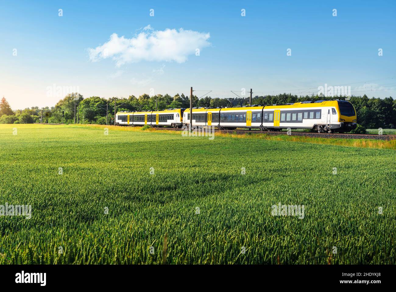 corn field, railroad, passenger train, corn fields, railroads, local ...