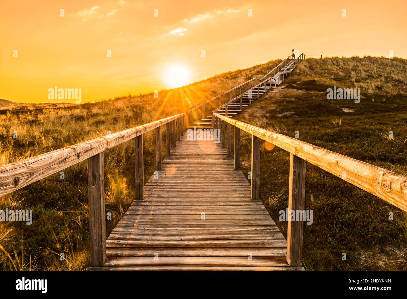 sunrise, north sea, dune, beach coast path, sun rises, sunrises, north ...