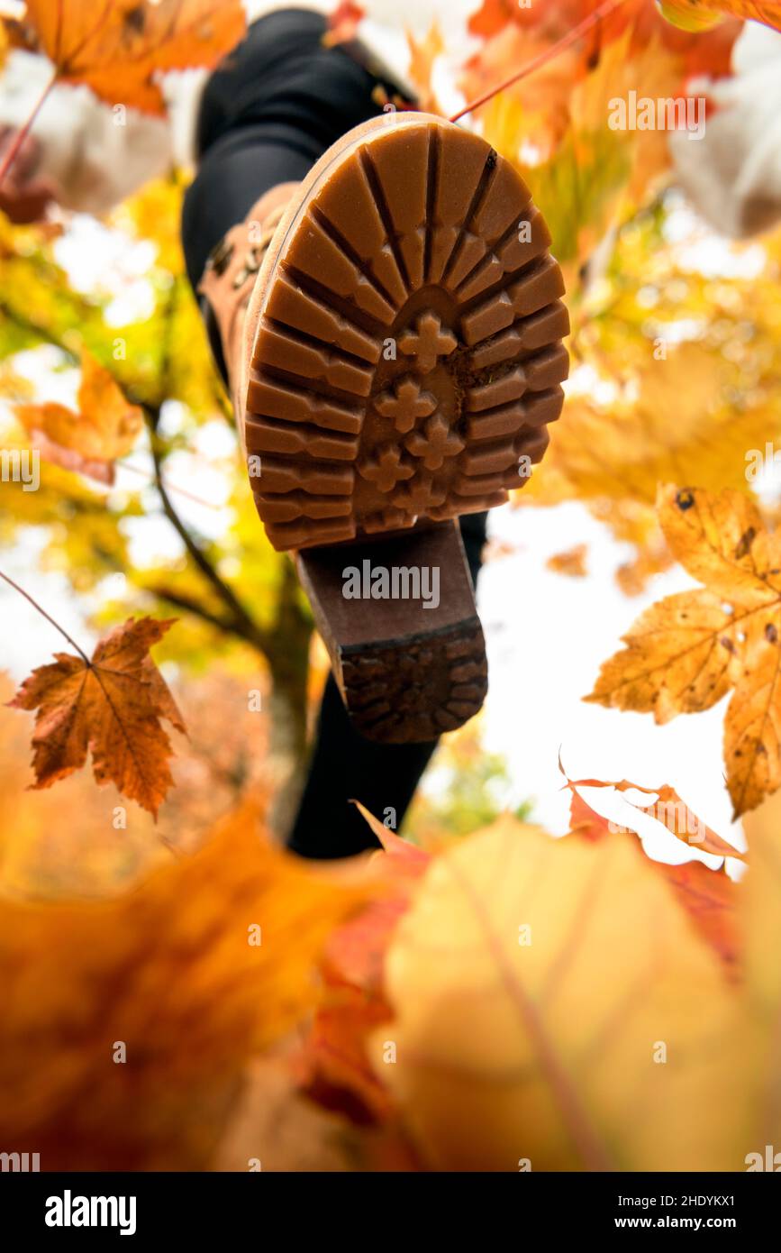 autumn, walk, shoe profile, fall, walks, shoe profiles Stock Photo - Alamy