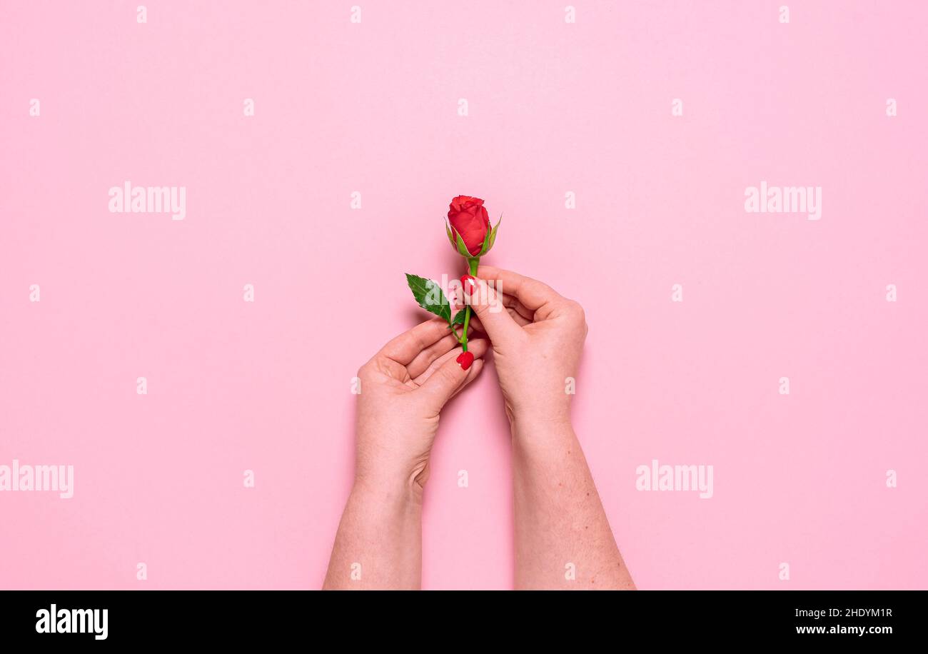 Hand colored rose hi-res stock photography and images - Alamy