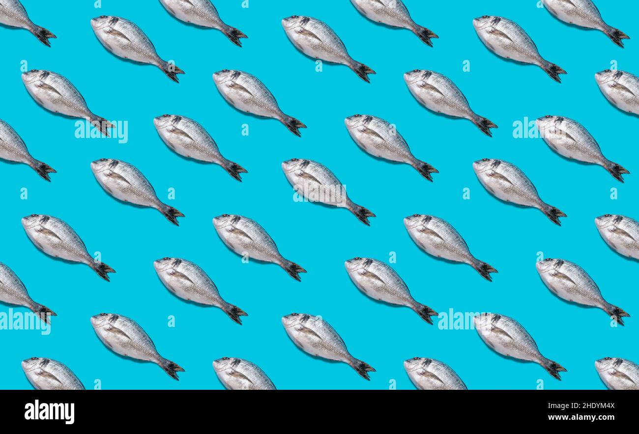 pattern, wallpaper, fish, patterns, wallpapers, fishes Stock Photo - Alamy