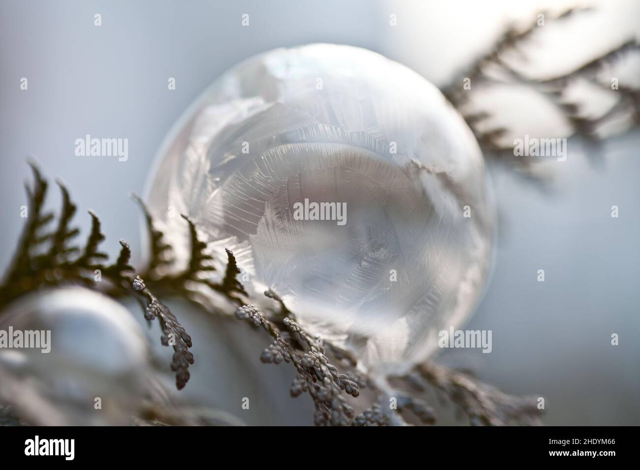 frozen, soap bubble, frozens, soap bubbles Stock Photo - Alamy