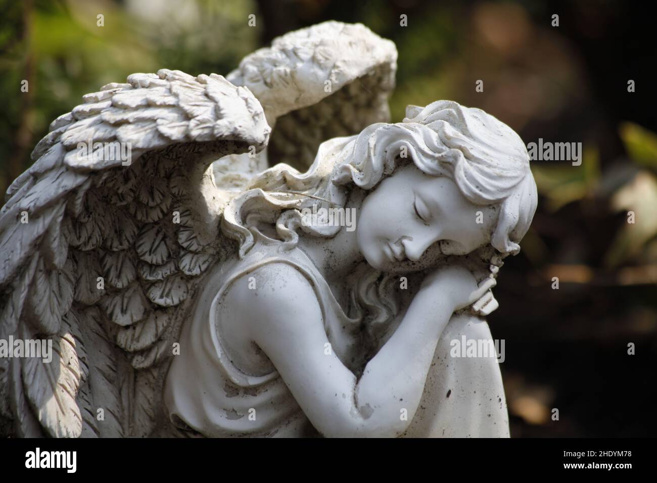 cemetery, angel, resting place, cemeteries, angels, resting places ...
