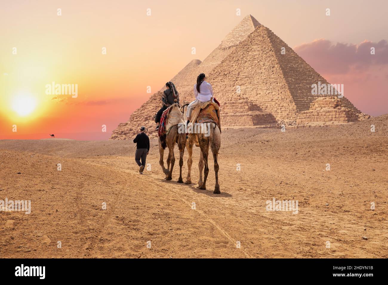 Camel riding tourism 20 hi-res stock photography and images - Alamy