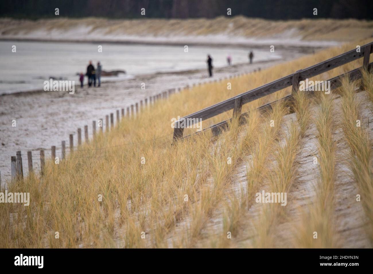Lubmin, Germany. 07th Jan, 2022. Walkers are out and about on the ...