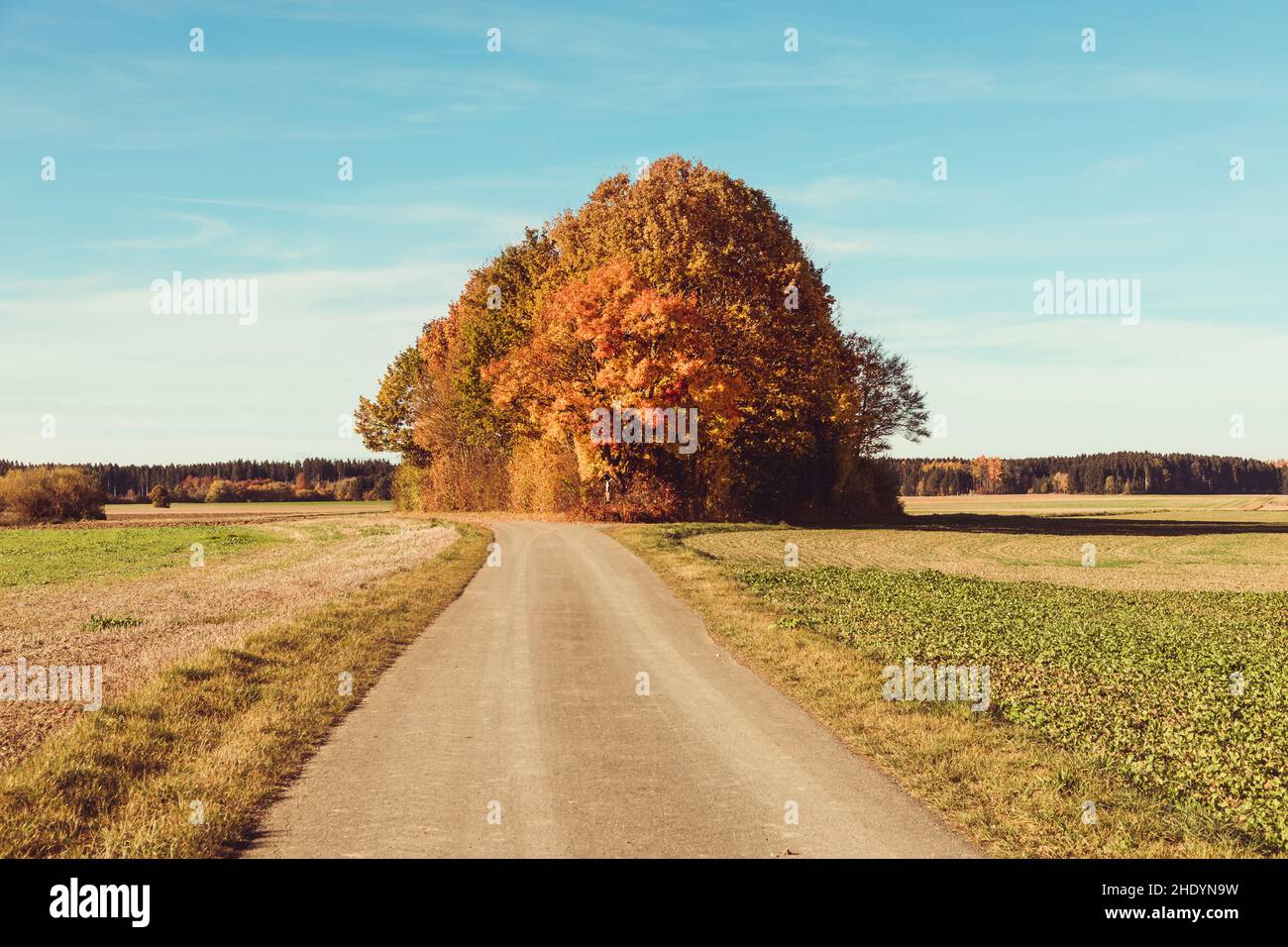 Fields of bavaria hi-res stock photography and images - Alamy