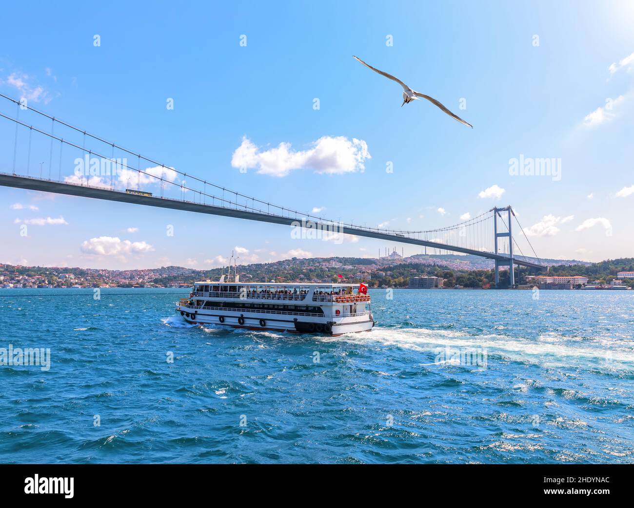 cruise ship, bosphorus, bosphorus bridge, cruise ships, bosphorus ...
