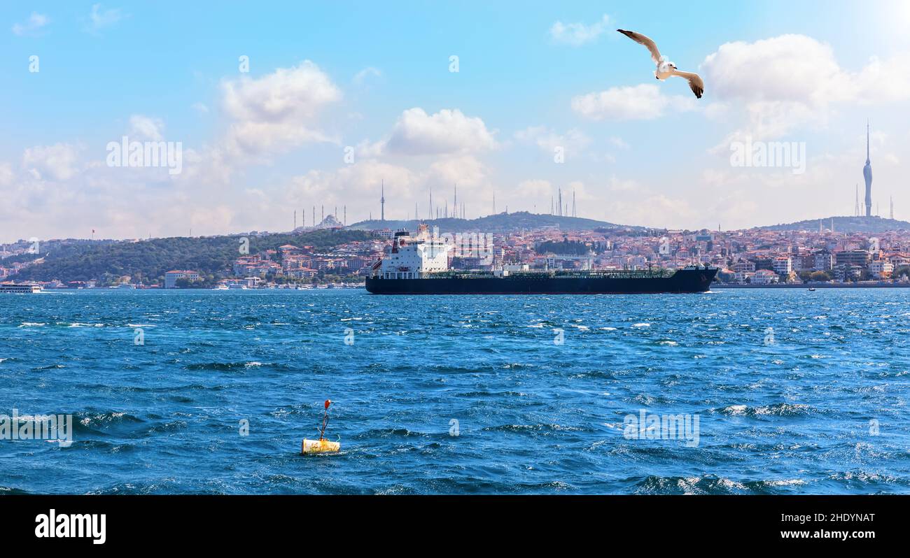 container ship, freight, bosphorus, istanbul, container ships, freights ...