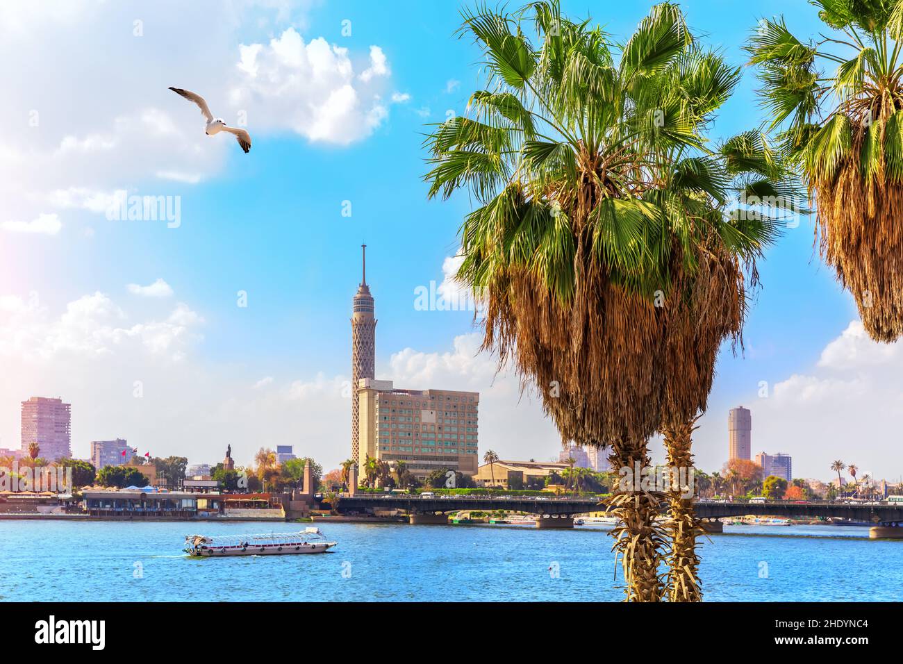 nile river, cairo, nile, nile rivers, cairos Stock Photo - Alamy