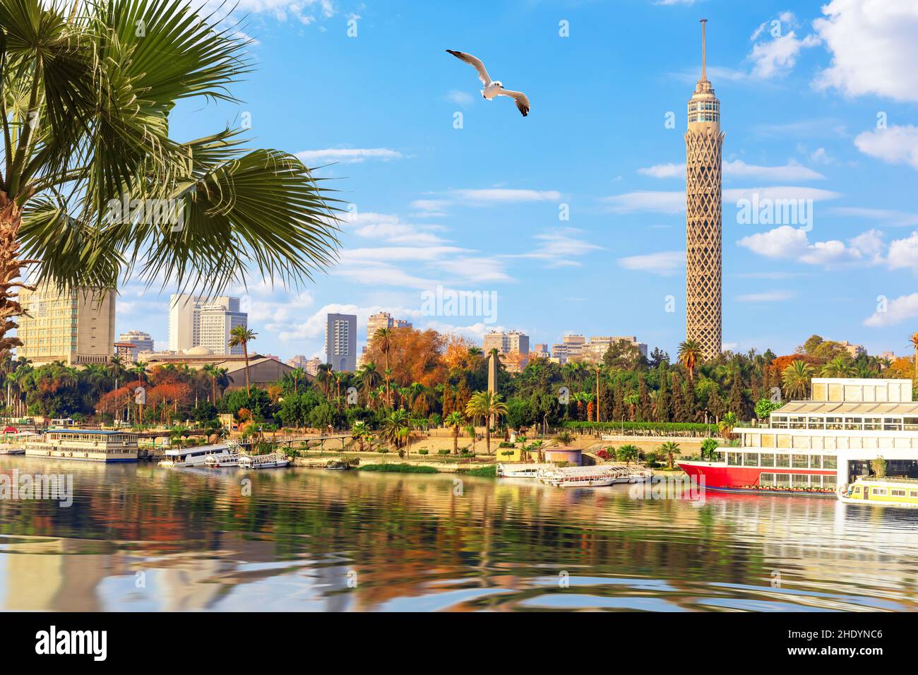 television tower, nile river, cairo, television towers, nile, nile ...
