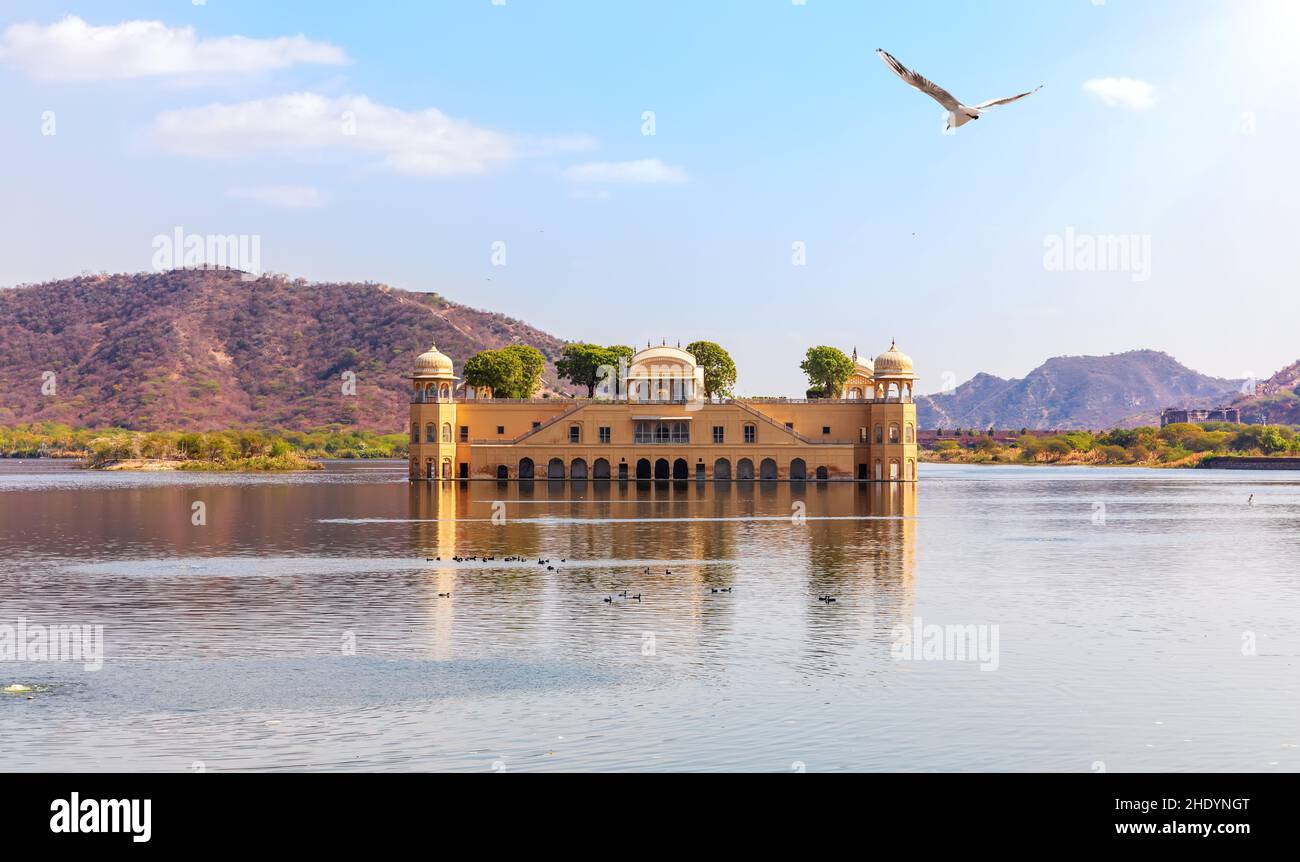 jal mahal, man sagar lake, jal mahals Stock Photo - Alamy