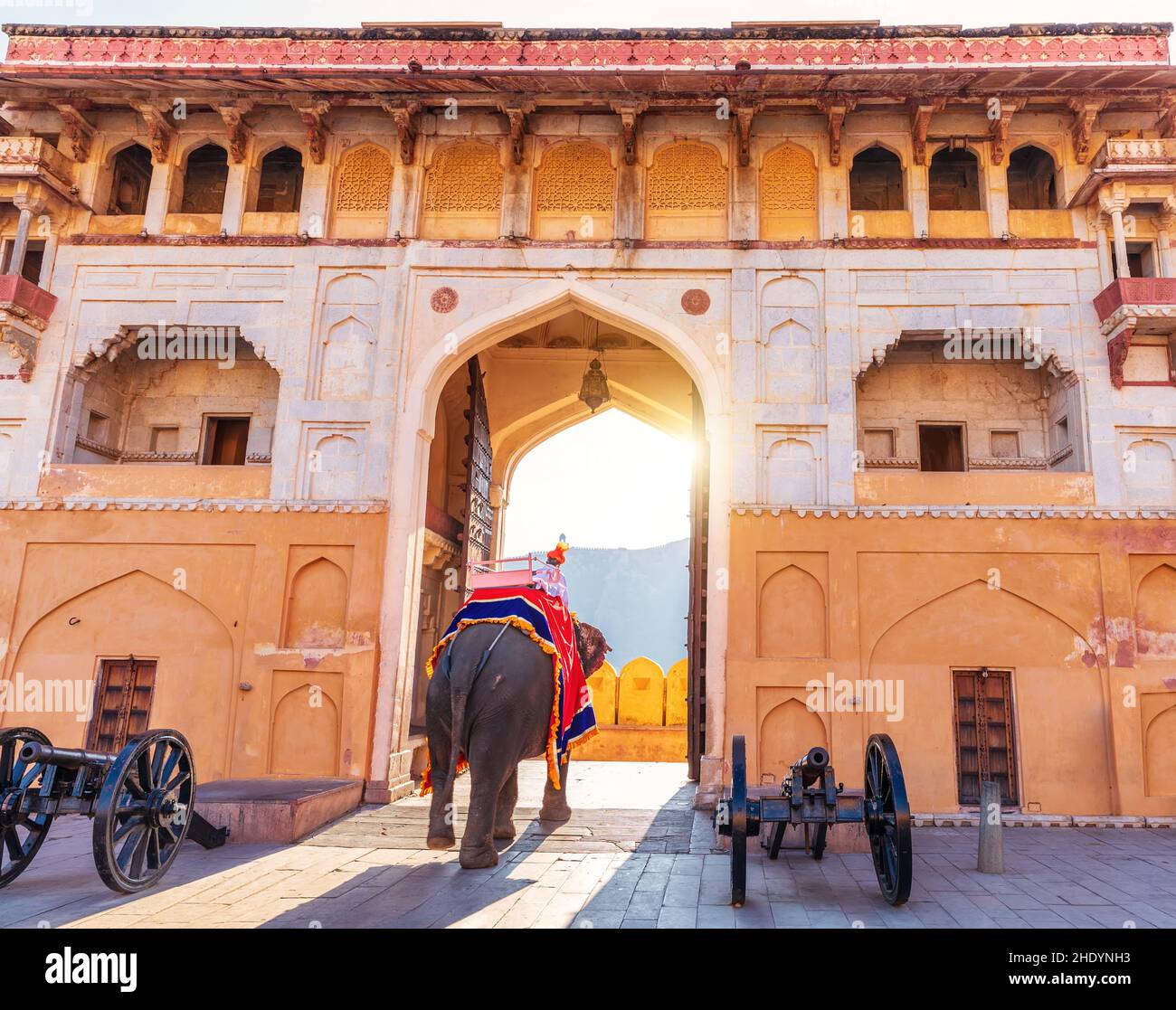 elephant, amber indien, amber fort, elephants, amber indiens, amber ...