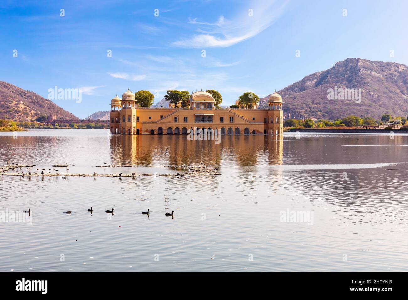 jal mahal, man sagar lake, jal mahals Stock Photo - Alamy