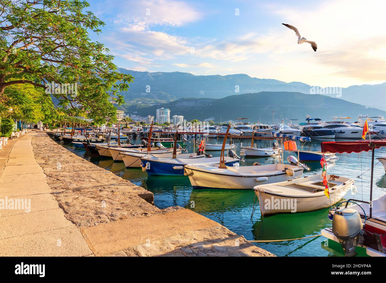 harbour, boats, budva, harbours, port, boat Stock Photo - Alamy