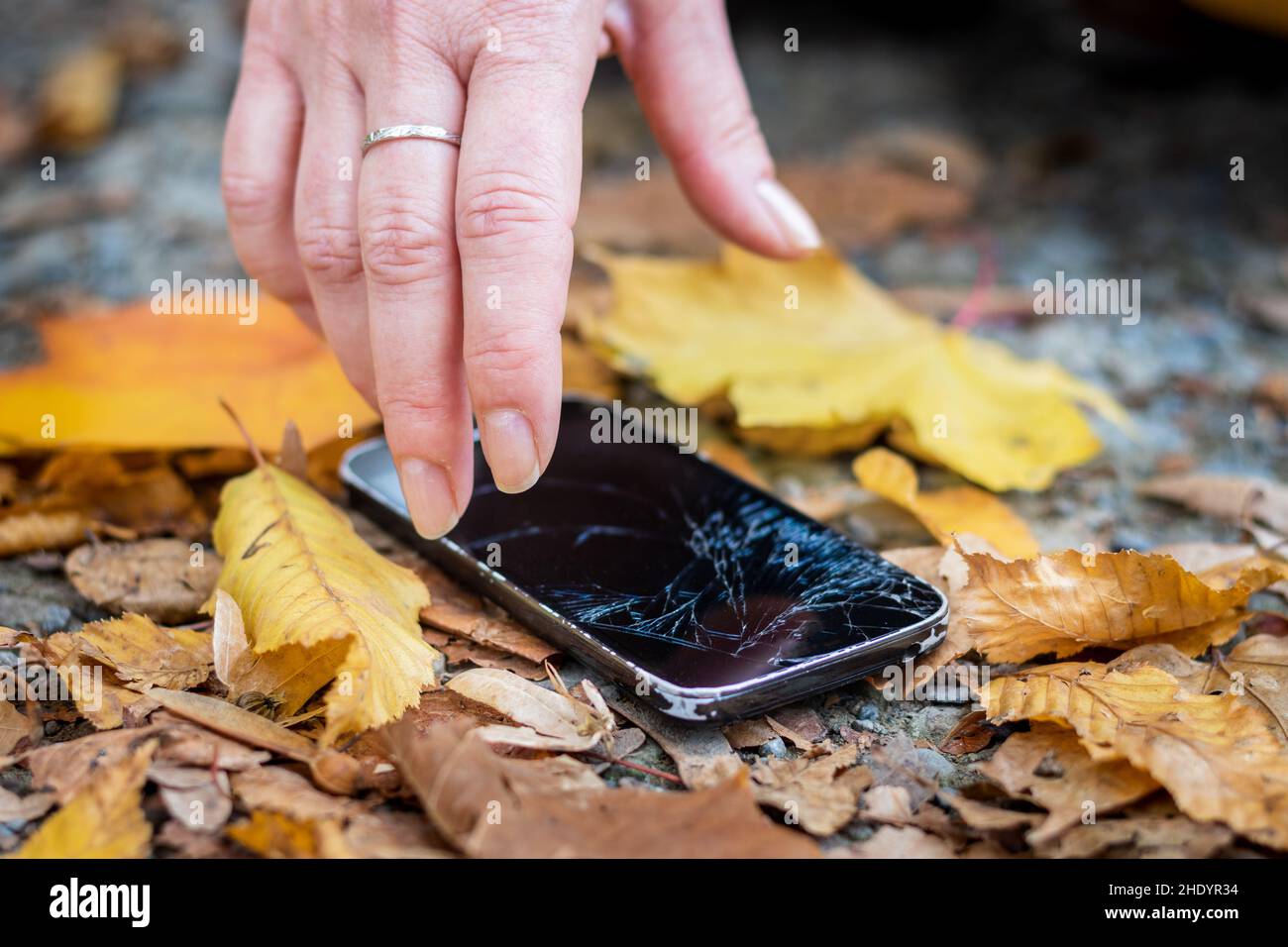 Broken smartphone on the street in fallen leaves. Woman picking damaged ...
