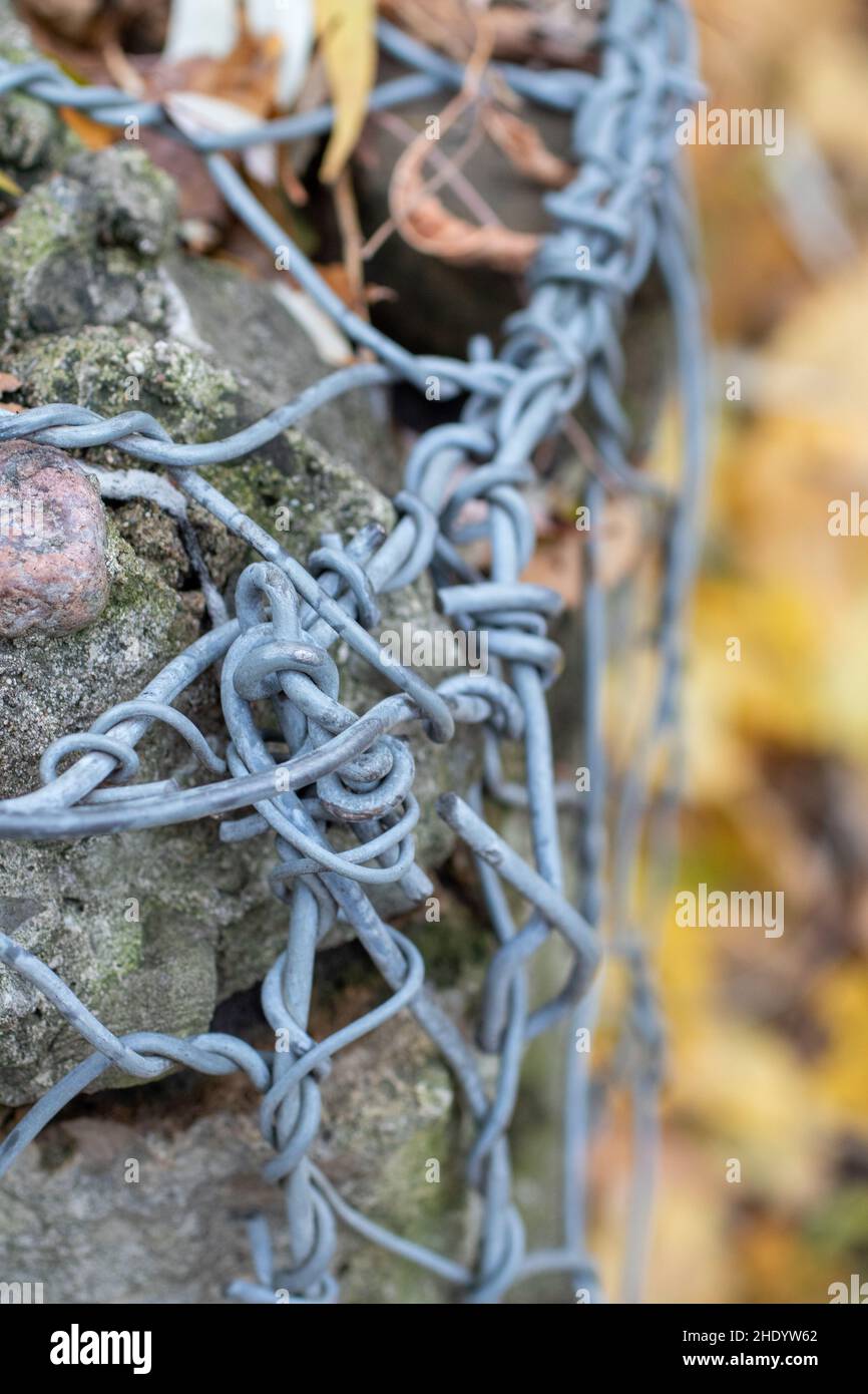 Closeup shot of barbed wire Stock Photo - Alamy