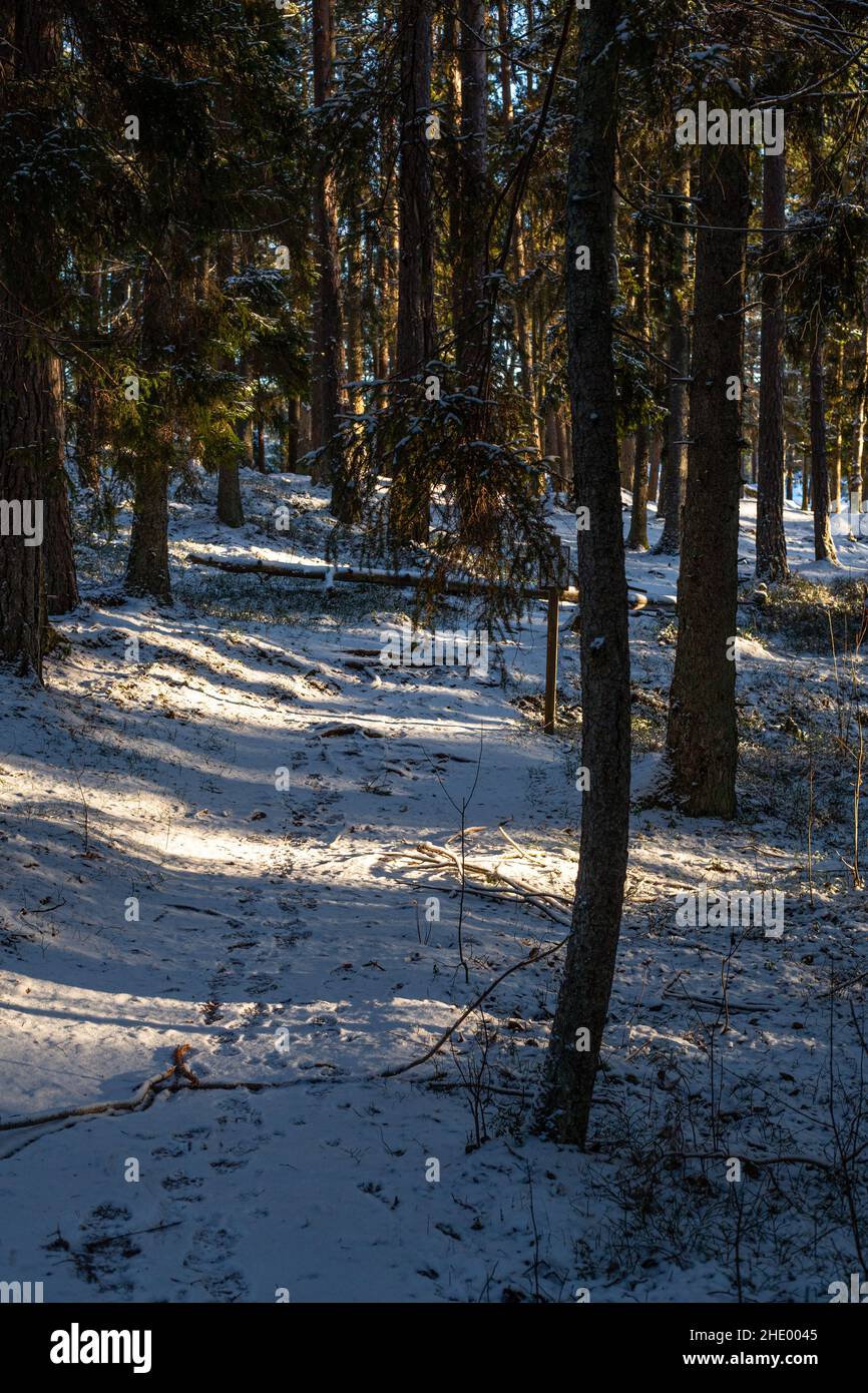Scandinavian environment hi-res stock photography and images - Alamy