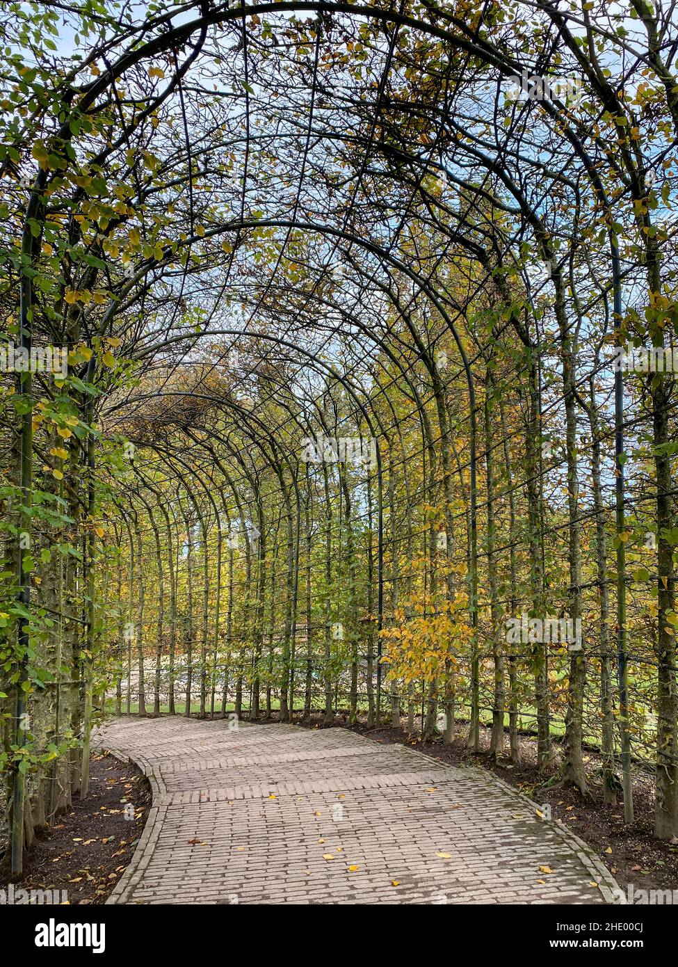 The Alnwick Garden - a complex of formal gardens adjacent to Alnwick ...