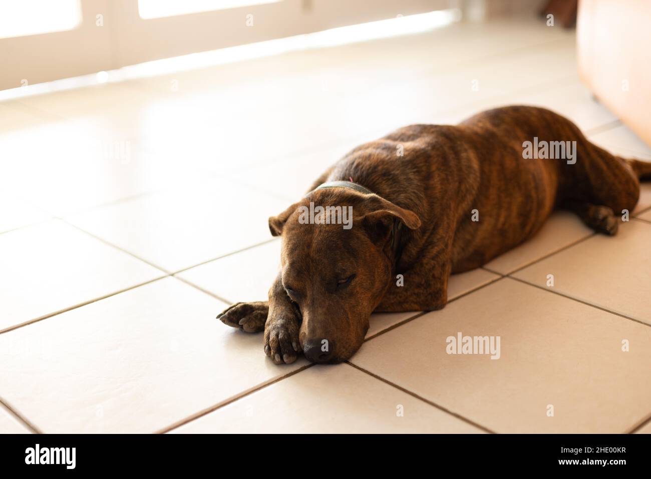Slipping on floor hi-res stock photography and images - Alamy