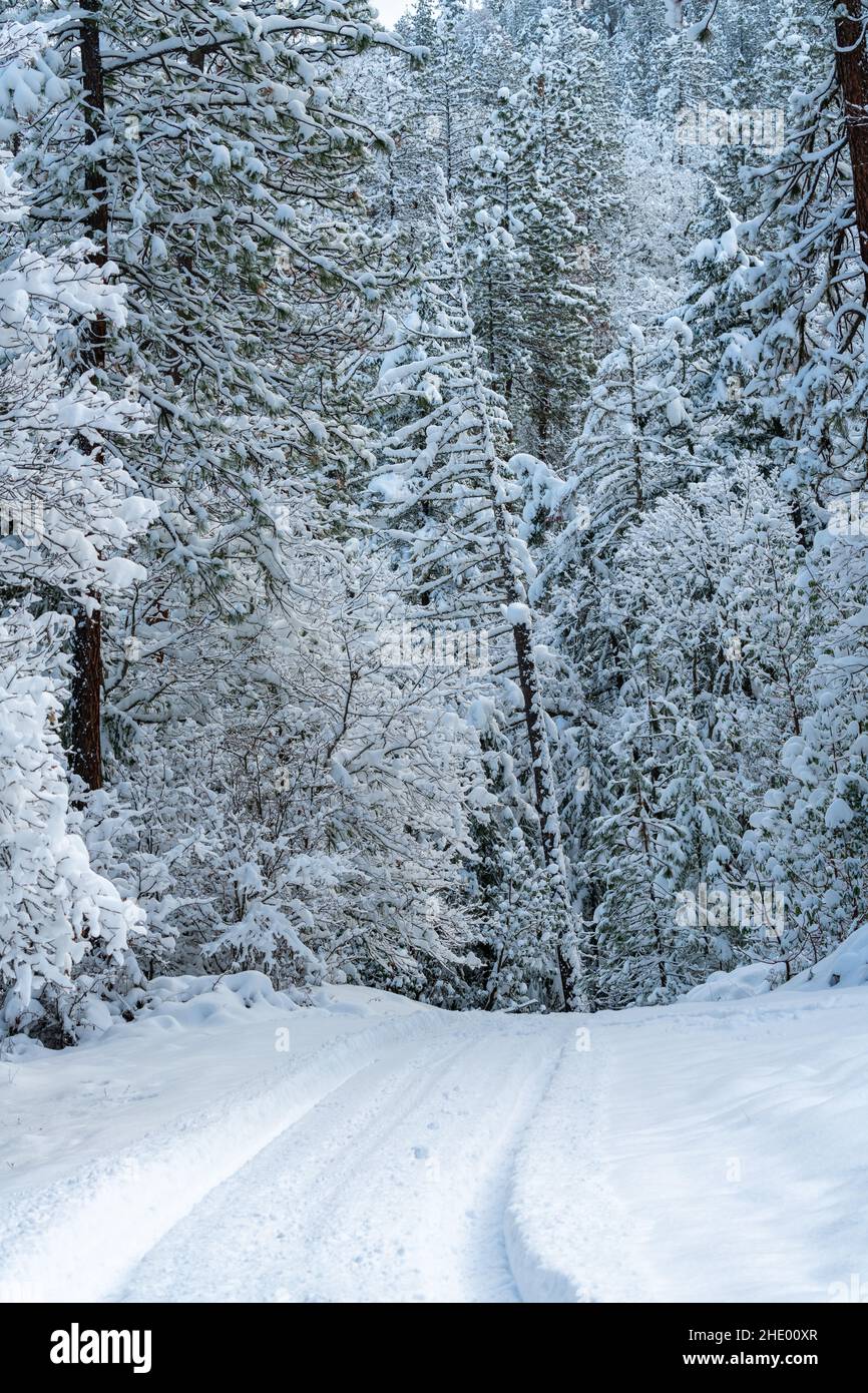 Ashland oregon winter hi-res stock photography and images - Alamy