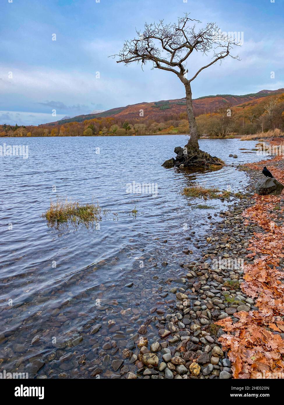 Millarochy hi-res stock photography and images - Alamy