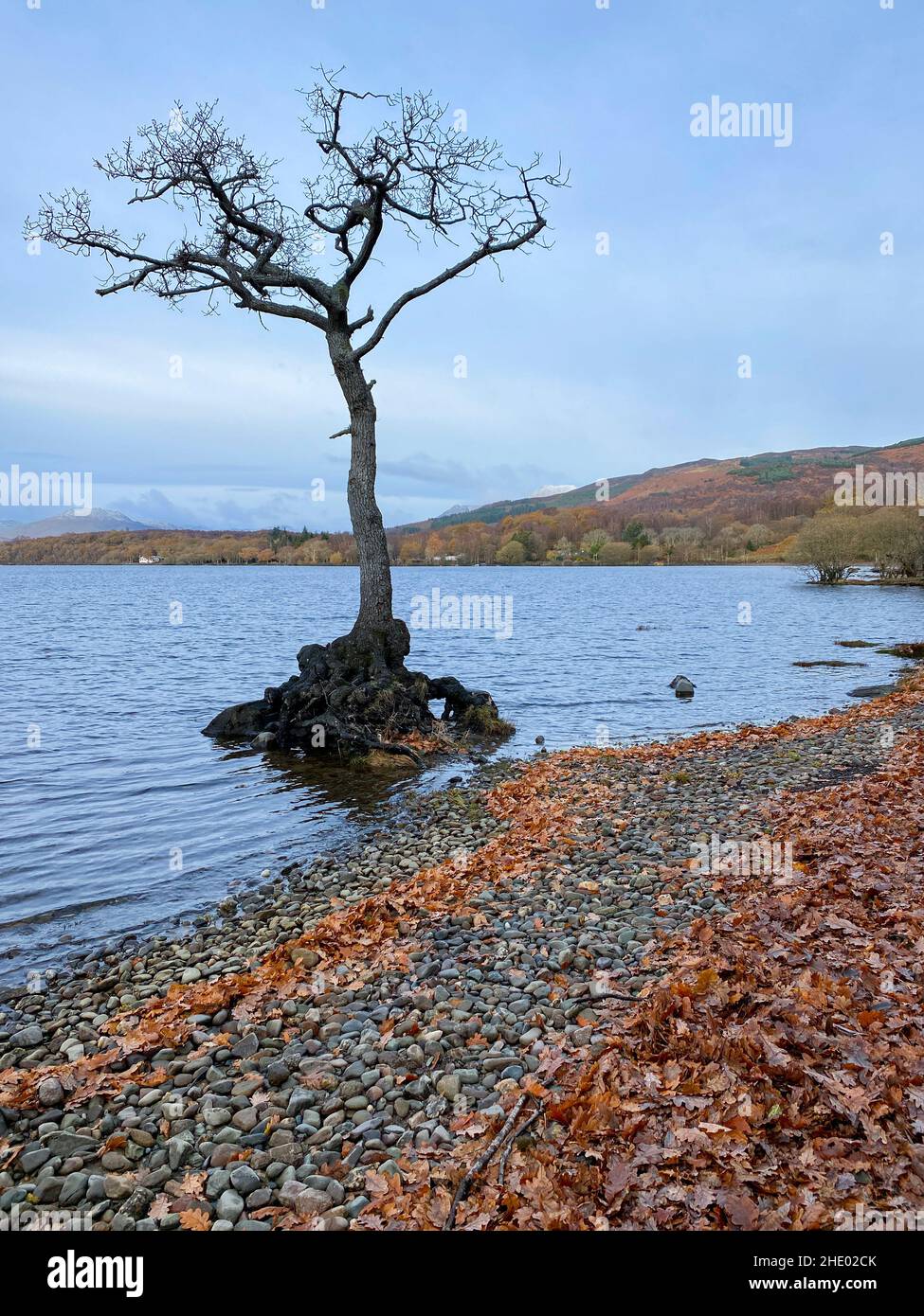 Millarochy hi-res stock photography and images - Alamy