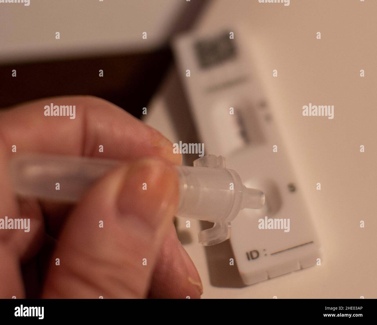 Covid 19 virus self test home testing Stock Photo - Alamy