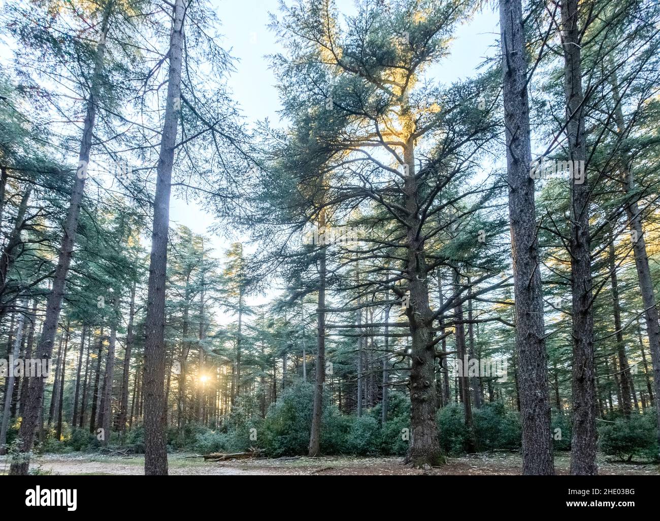 France, Vaucluse, Parc Naturel Regional du Luberon (Luberon Natural ...