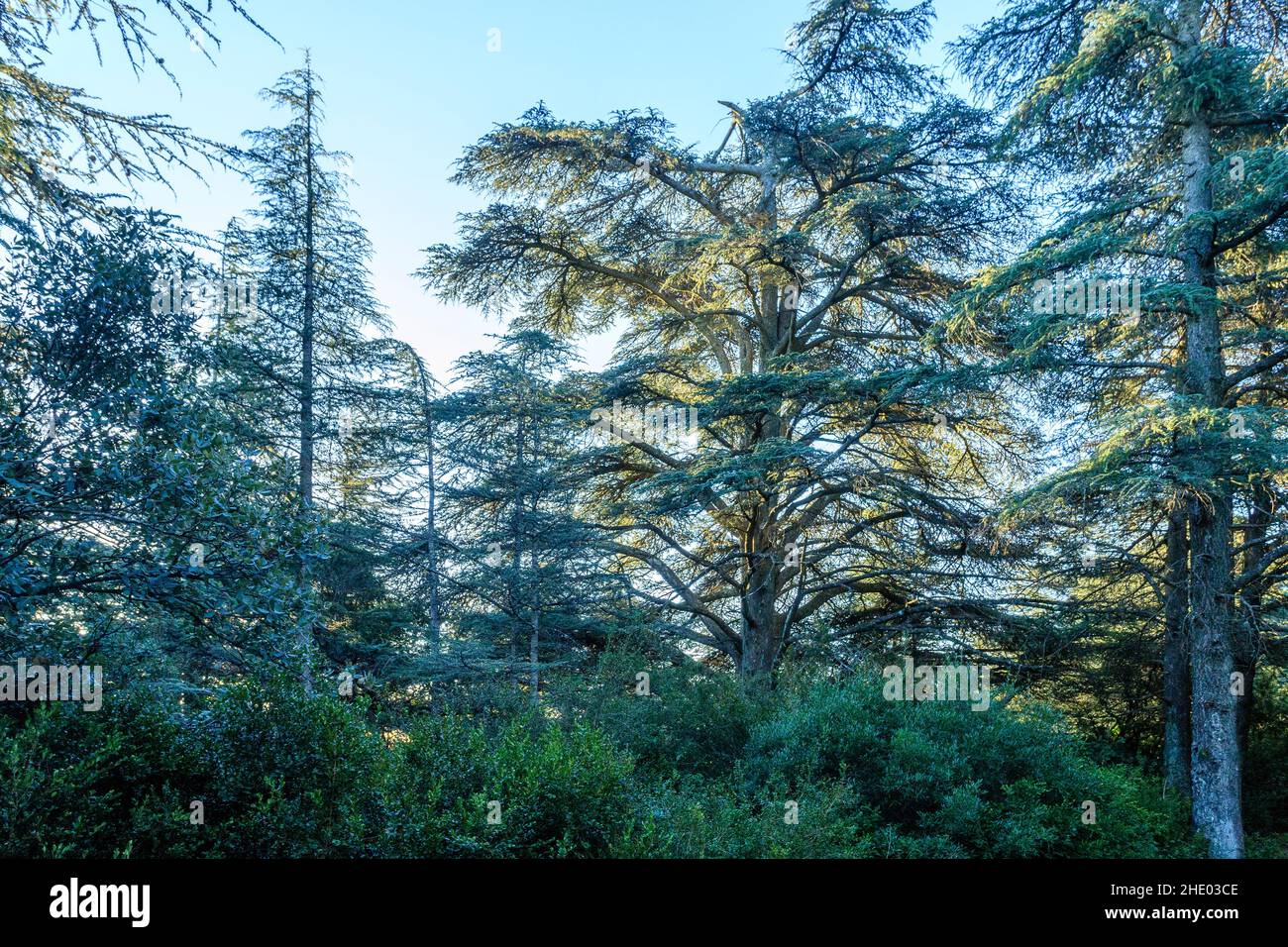 France, Vaucluse, Parc Naturel Regional du Luberon (Luberon Natural ...