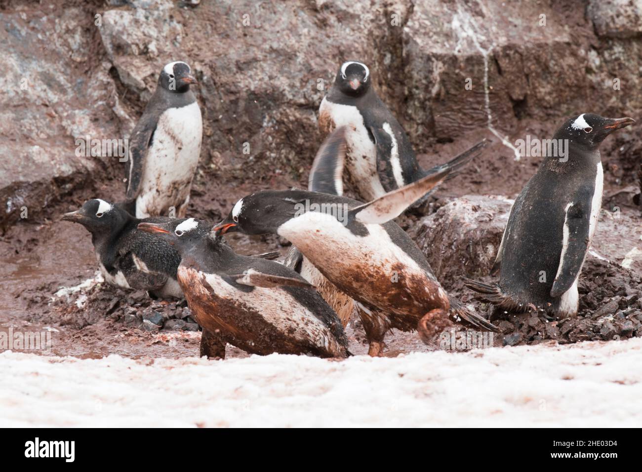 Hemisphere attack hi-res stock photography and images - Alamy