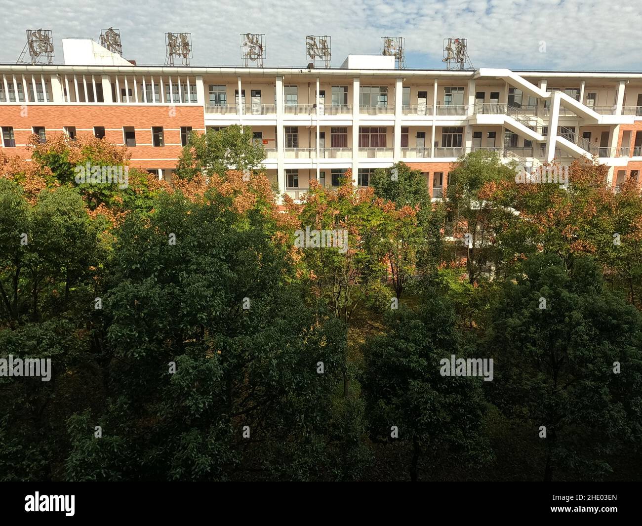 Modern apartments surrounded trees hi-res stock photography and images ...