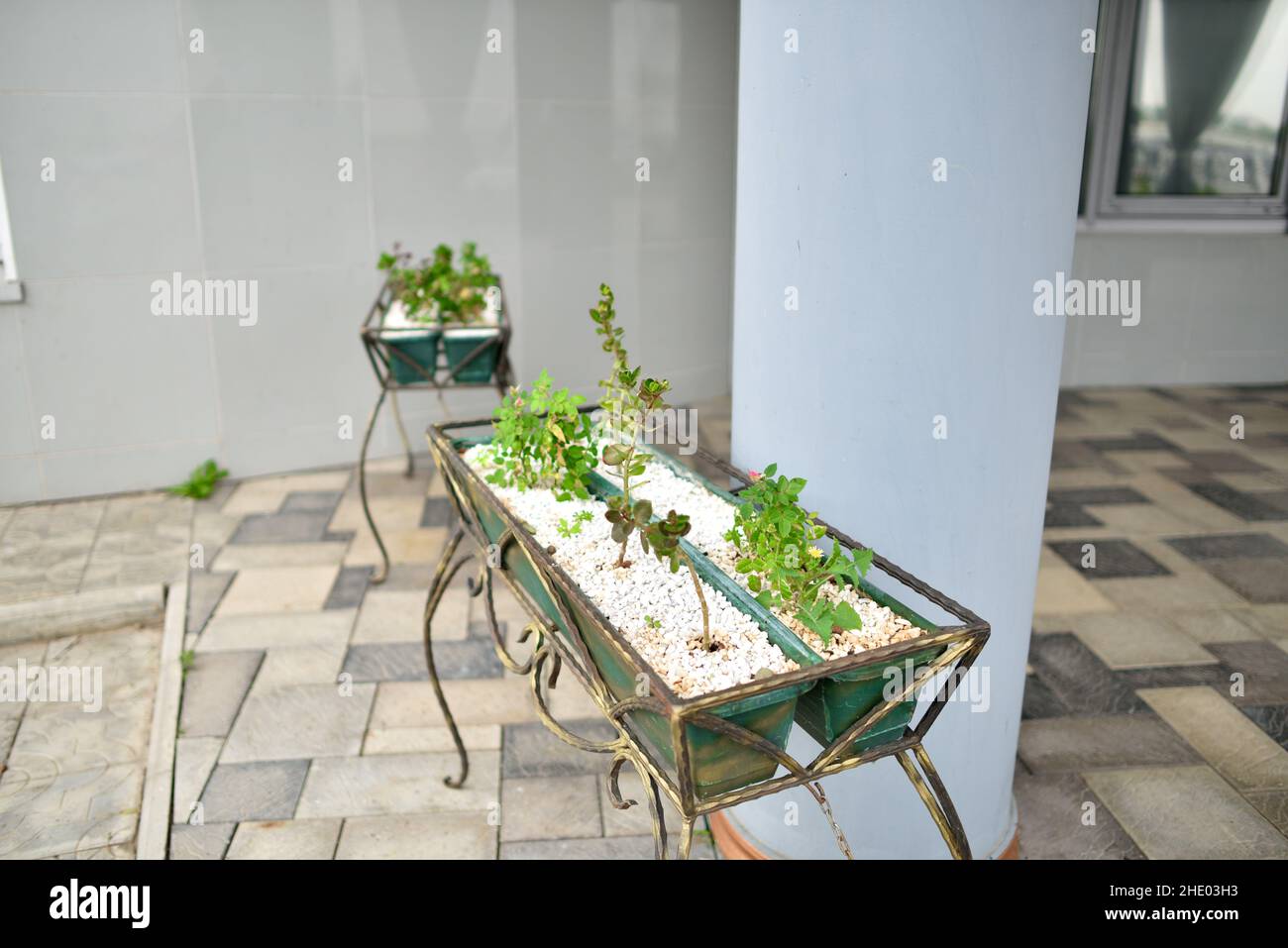 A beautiful wrought-iron flower box encloses the outdoor cafe Stock ...