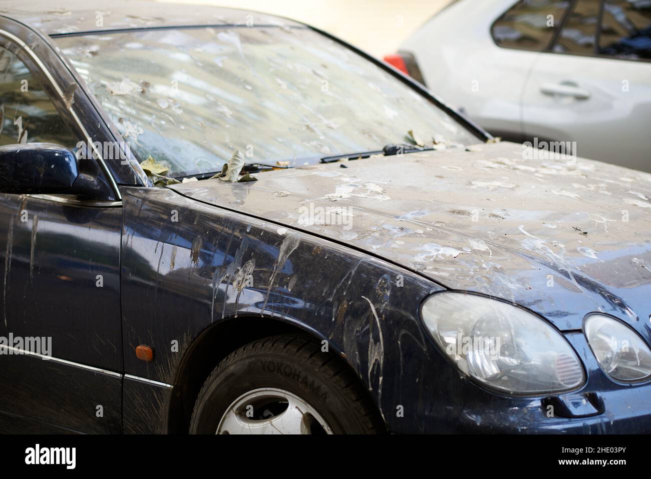 Very dirty car, dirty with bird droppings Stock Photo - Alamy