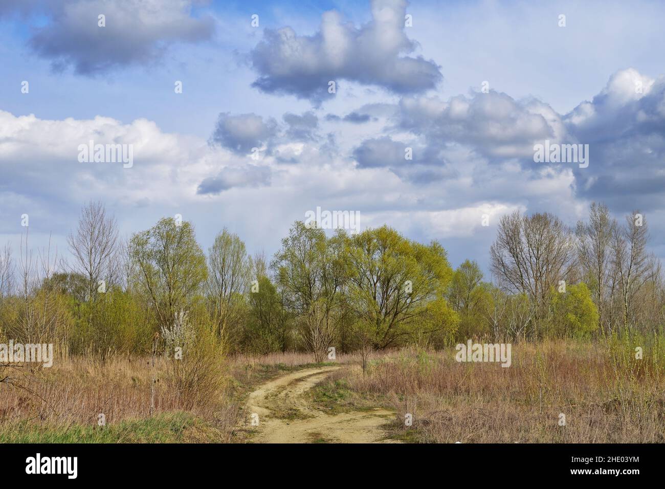 Spring landscape in rural Hungary with dramatic clouds and dirt road ...