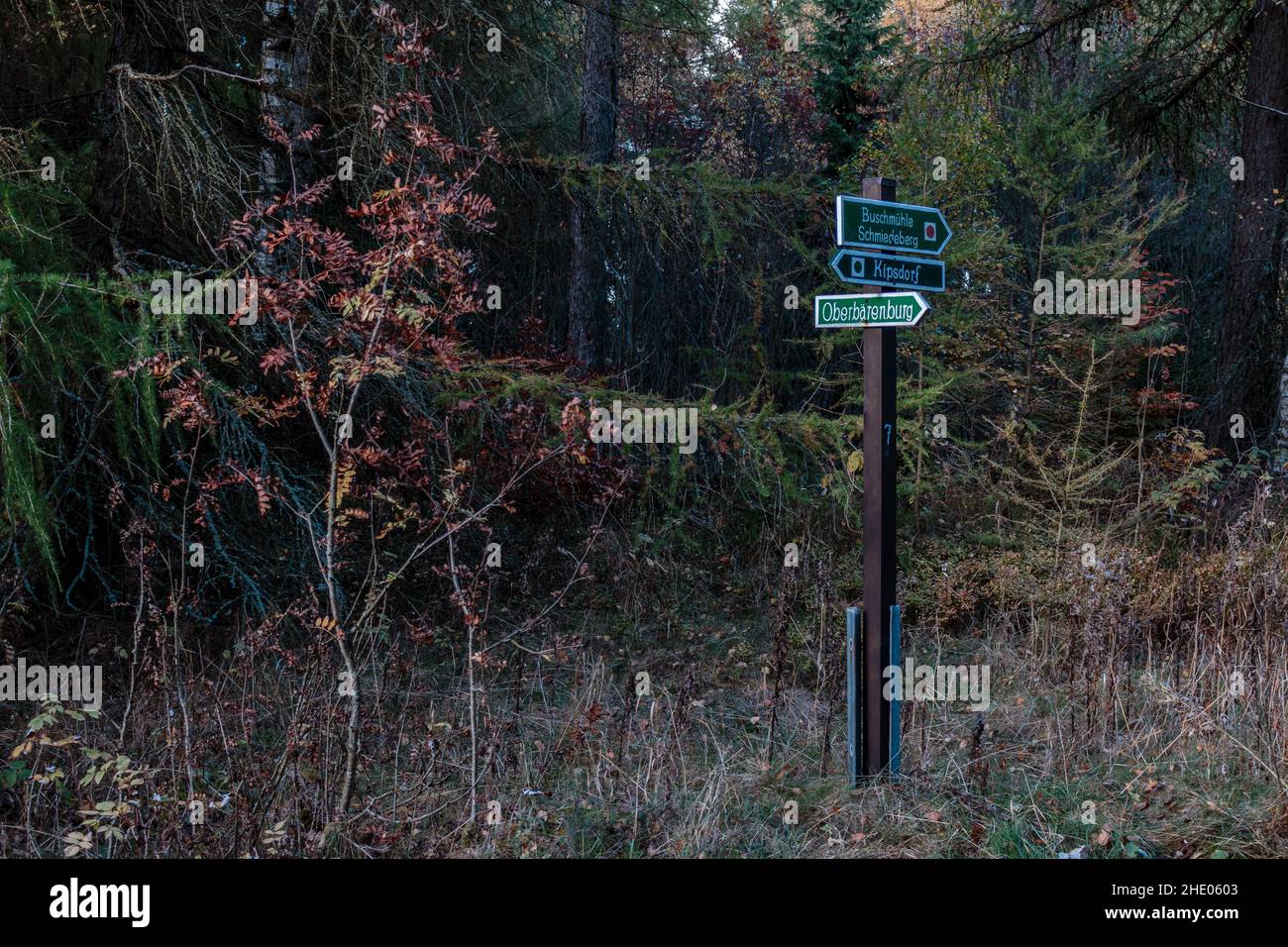 Sign post in a german forest in autumn Stock Photo - Alamy