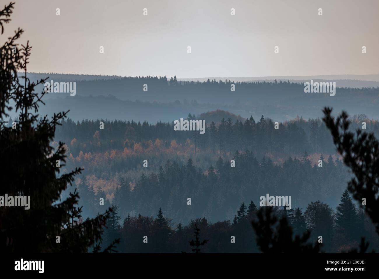 A german forest in autumn Stock Photo - Alamy