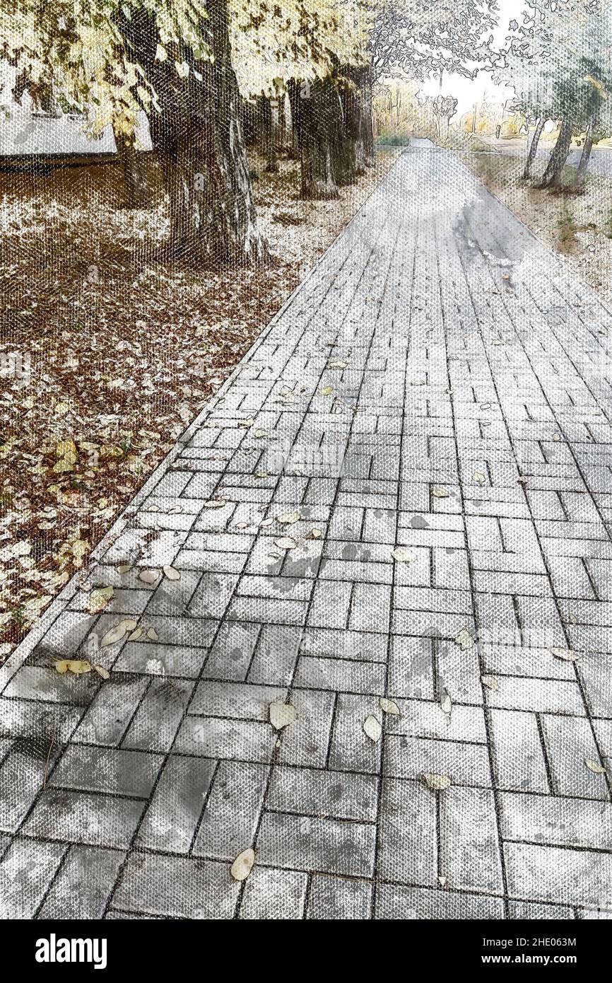 An empty gray sidewalk in an autumn city park. A footpath line in a ...