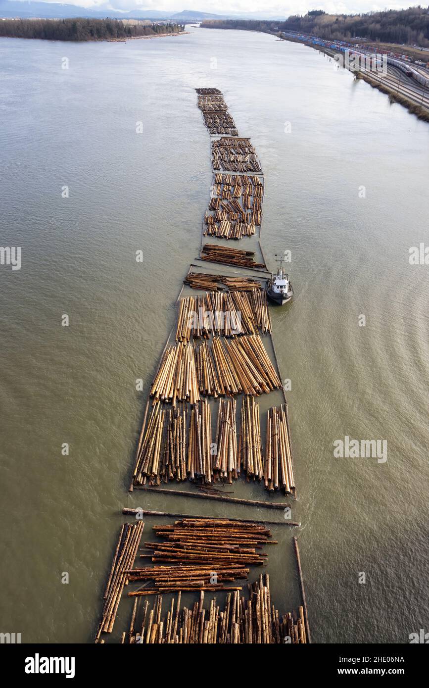 Logs pulled by a tugboat on Fraser River Stock Photo - Alamy