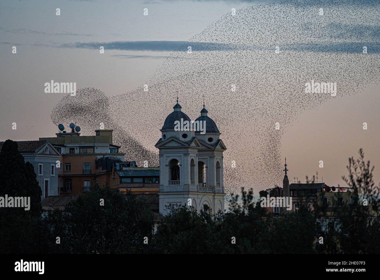 Starlings murmuration rome hi-res stock photography and images - Alamy